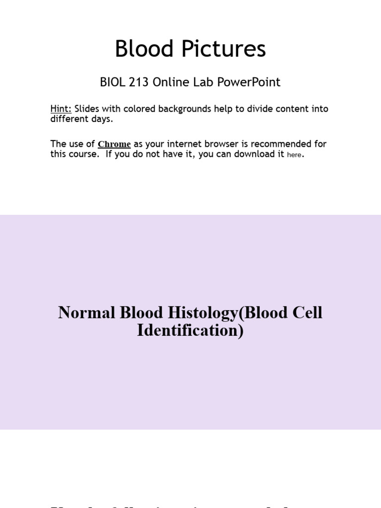 BLOOD Pathology | PDF | White Blood Cell | Leukemia