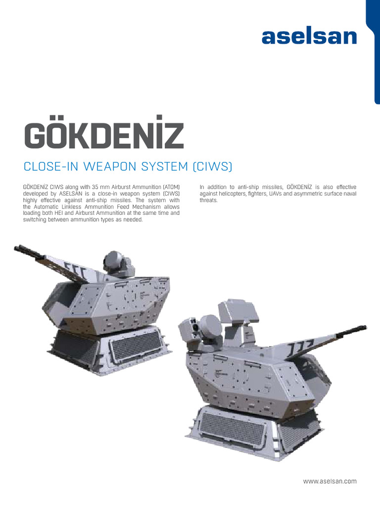 Aselsan GOKDENIZ | PDF | Business