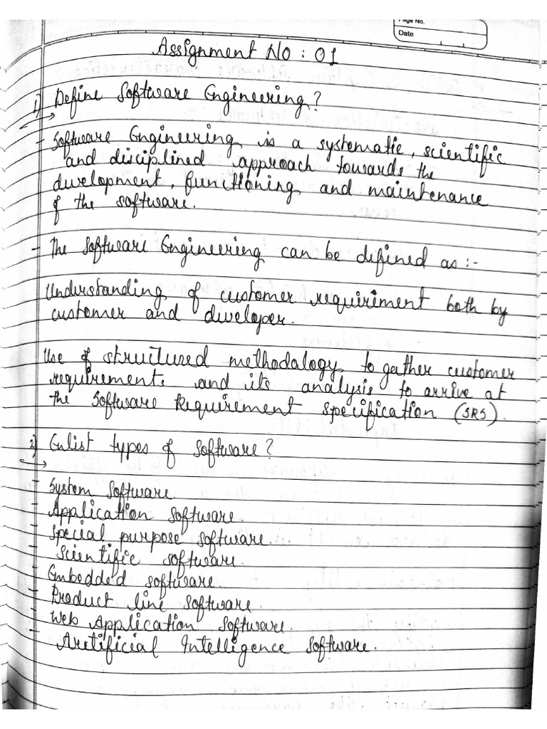 SEN Assi1 Nish | PDF