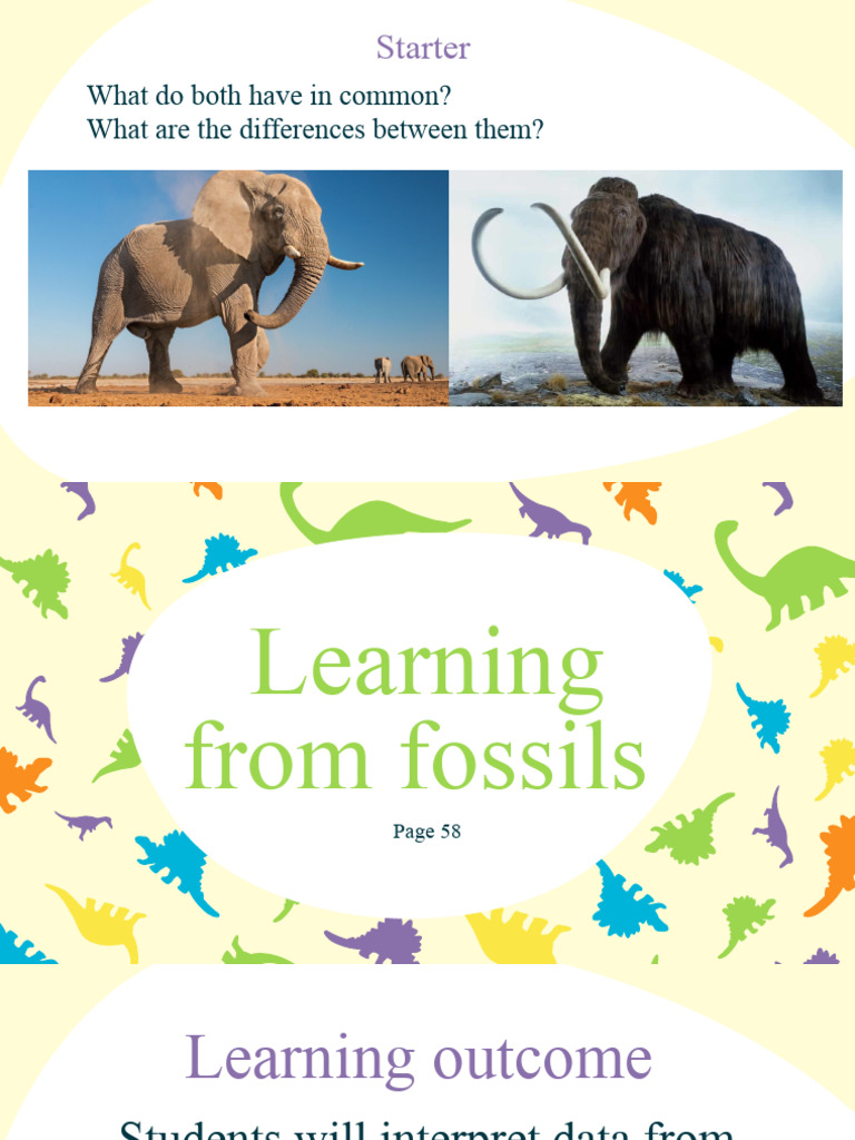 Learning From Fossils 2 | PDF