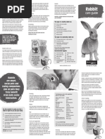 Rabbit Size-O-Meter Weight Guide | PDF | Obesity | Dieting