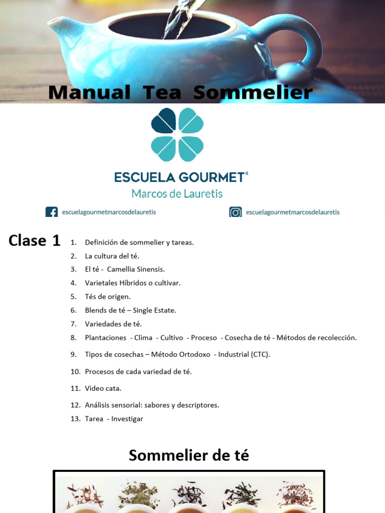 C01 - Manual Tea Sommelier Imp | PDF | Té | Gusto
