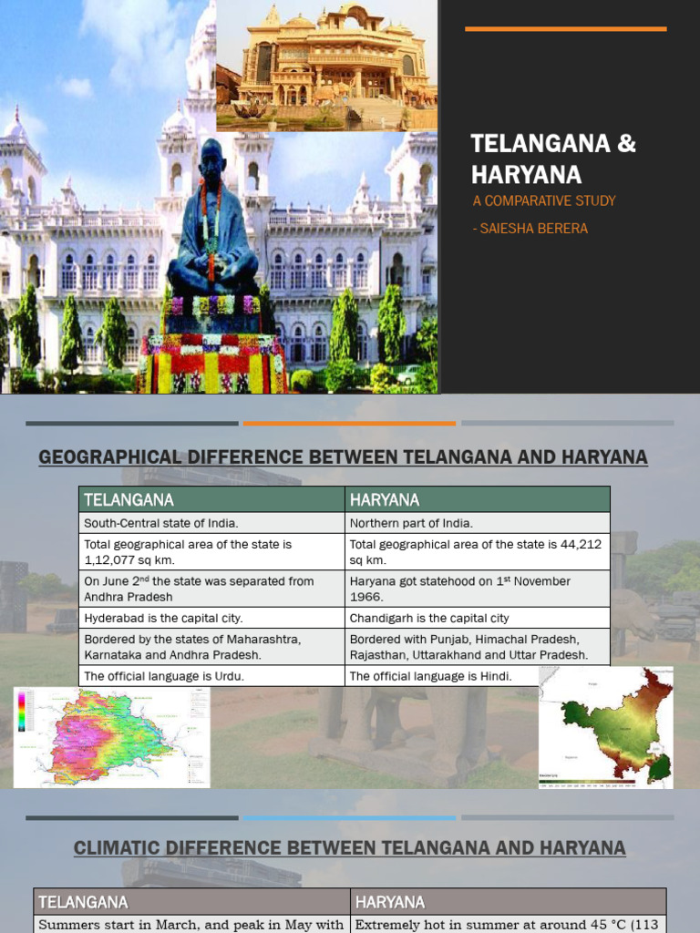 Geo Art Integration Project | PDF | Leopard