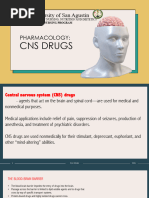 Caps 5 | PDF | Psychological Trauma | Emotions