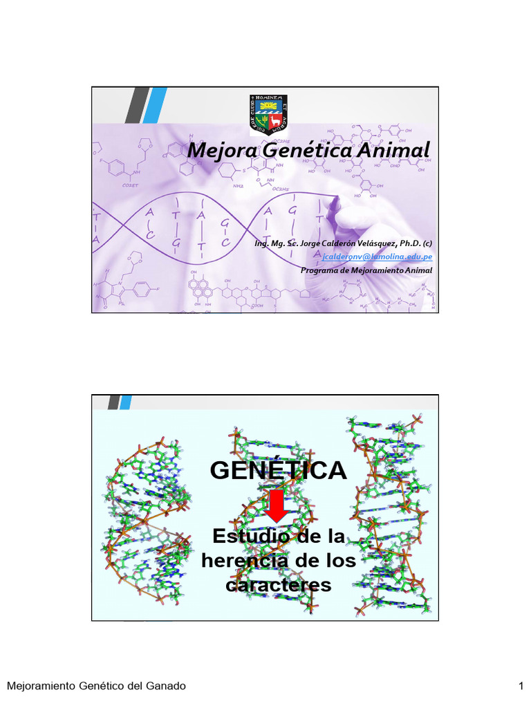 Resumen Mejora Genetica Animal | Descargar gratis PDF | Genotipo | Fenotipo