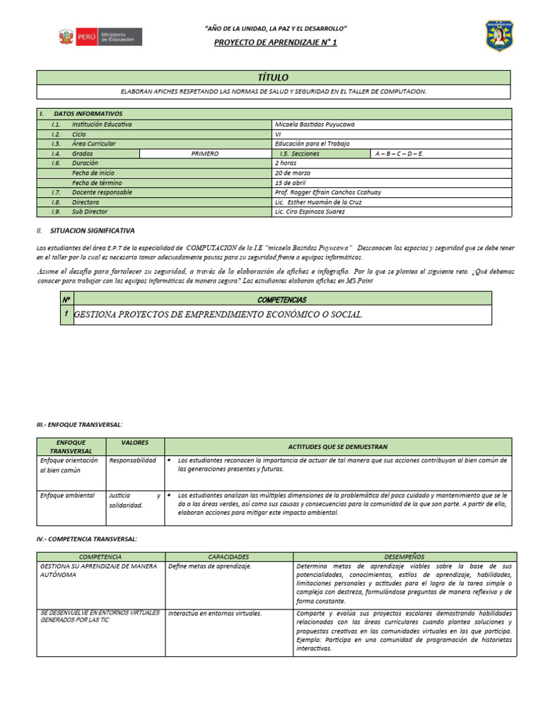 Poryecto 01 | PDF | Aprendizaje | Evaluación