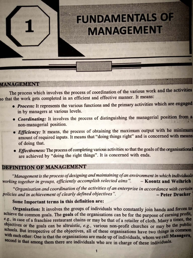 Perspective Management | PDF