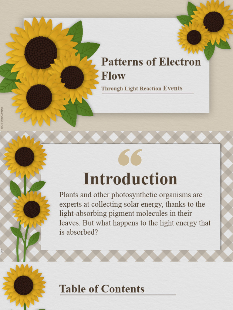 Patterns of Electron Flow Through Light Reaction Events | PDF ...