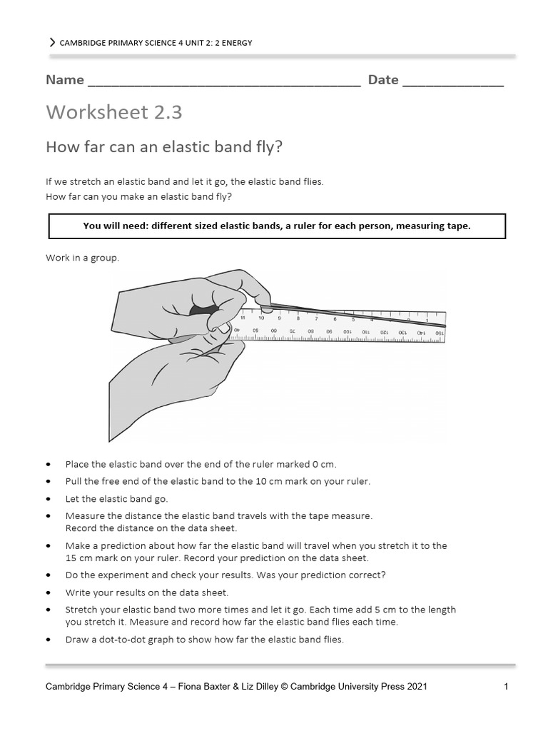 P - Science - 4 - Worksheets - Unit 2 | PDF | Foods | Herbivore
