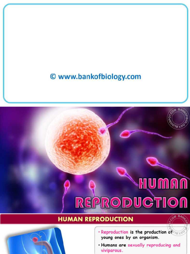 Human Reproduction - 5 - 11zon | PDF