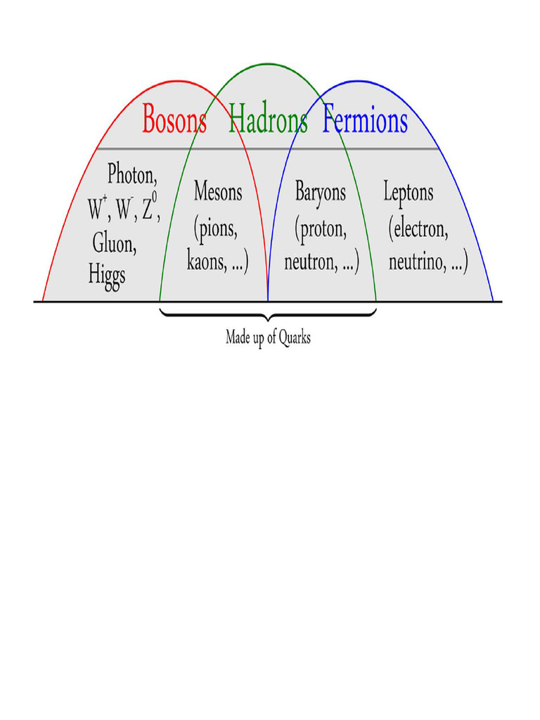 Boson Fermions | PDF