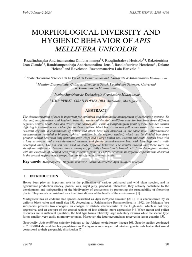 MORPHOLOGICAL DIVERSITY AND HYGIENIC BEHAVIOR OF APIS MELLIFERA ...