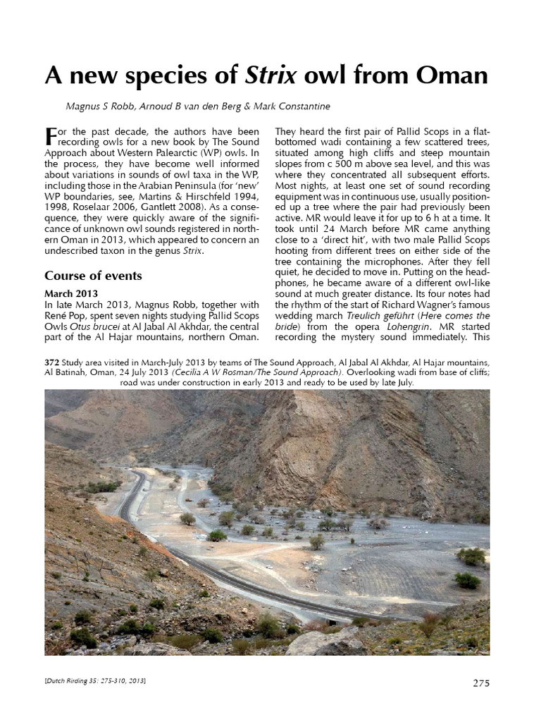 Robb Et Al 2013 A New Species of Strix Owl From Oman | PDF | Raw Image ...