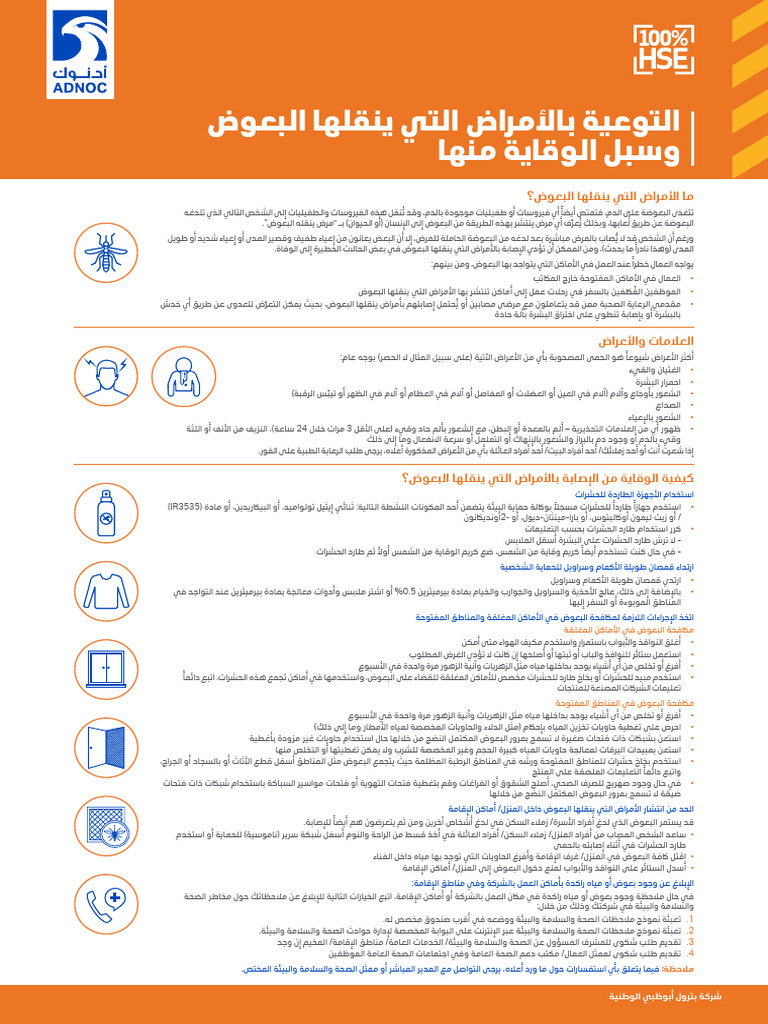 Mosquito Flyer Arabic | PDF