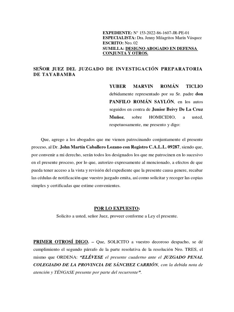 Designo Defensa Conjunta y Otros | PDF | Justicia | Crimen y violencia