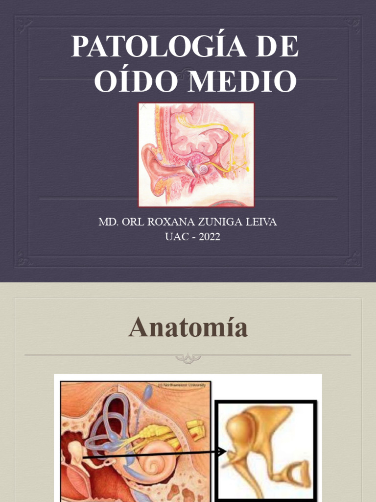 PATOLOGIA OIDO MEDIO.pptx | PDF | Meningitis | Especialidades Medicas