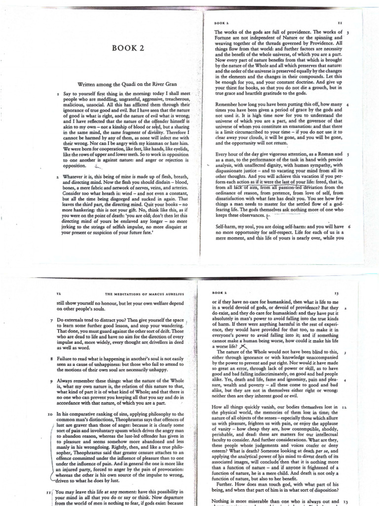 English Reading | PDF