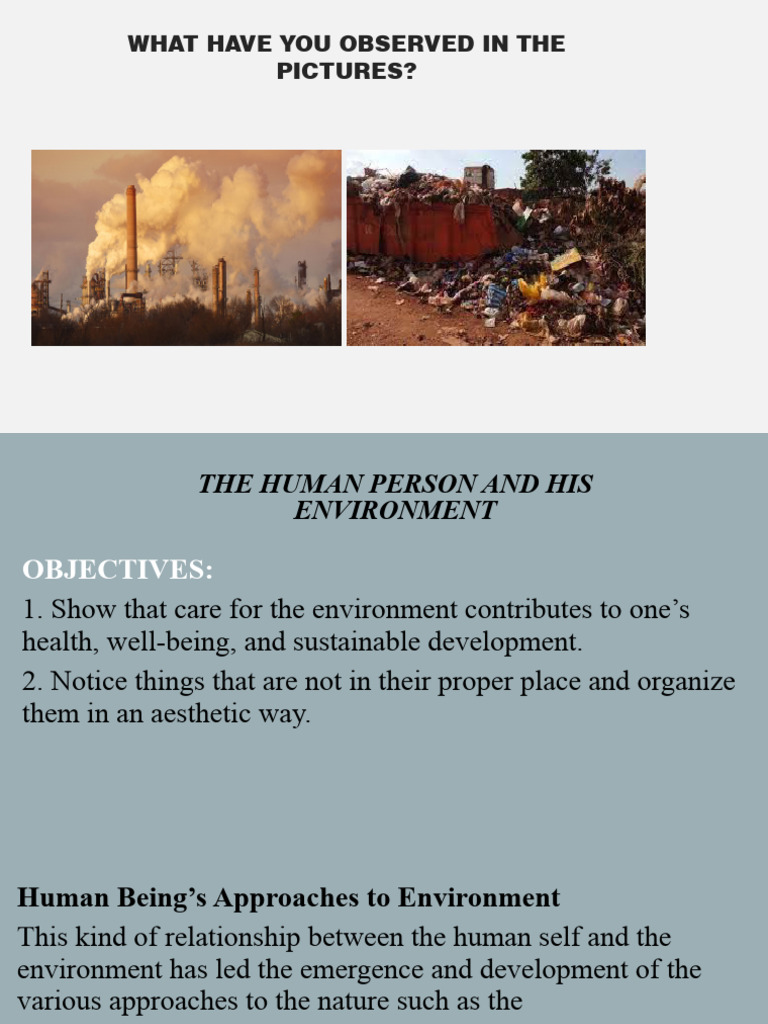 Philo Lesson 5 Environment 2 | PDF | Axiology | Beauty