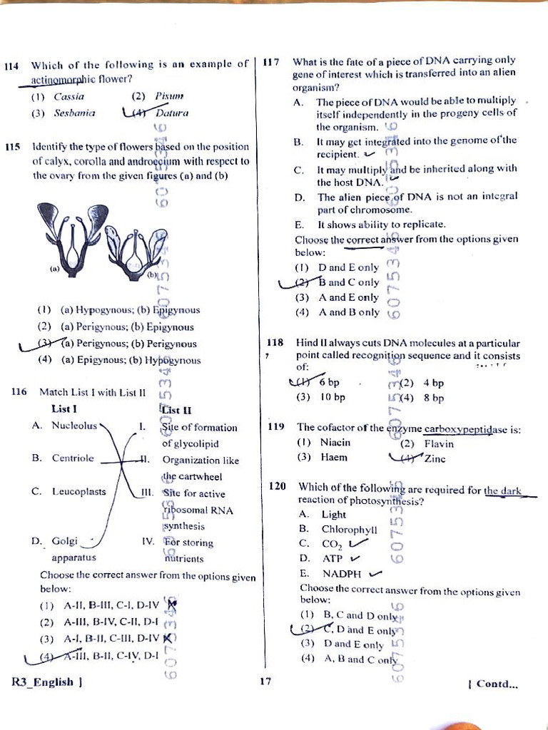 NEET-2024-Question-Paper-PDF-SET-1 | PDF