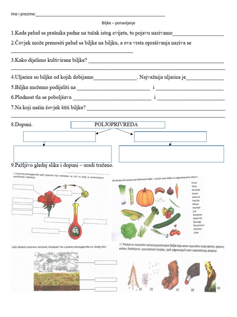 Biljke Ponavljanje | PDF