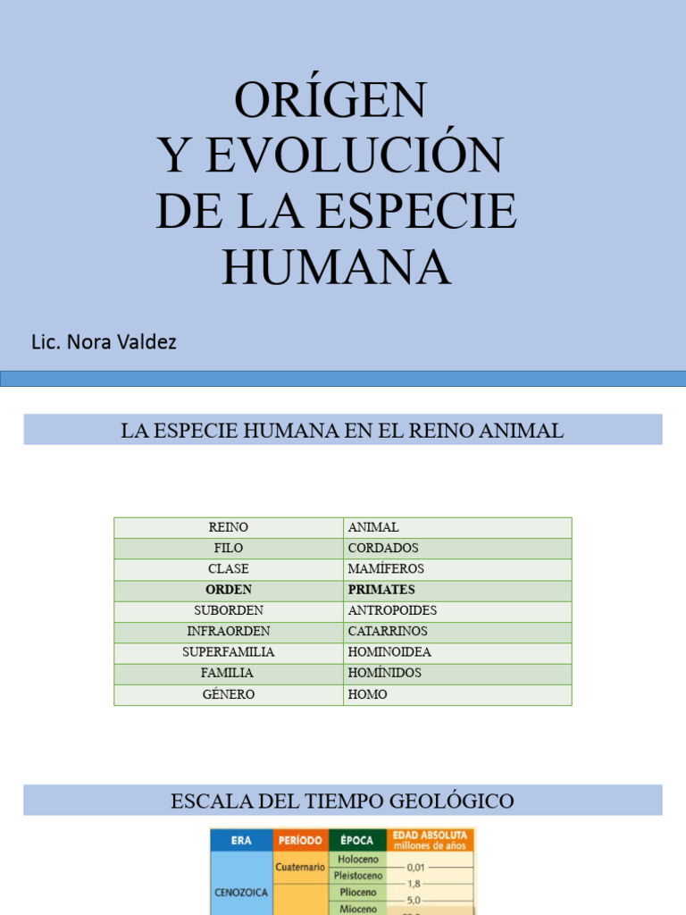 PowerPoint Primates | PDF | Mono | Catarrhini