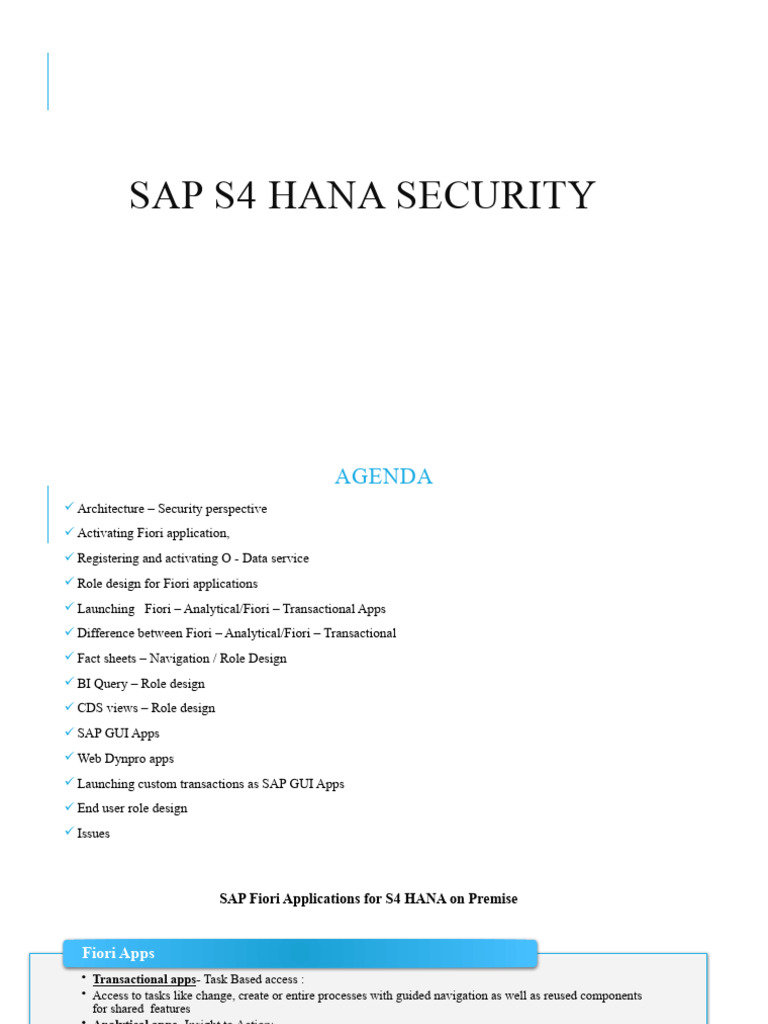 S4 HANA App Conig - V1 | PDF | Server (Computing) | Application Software