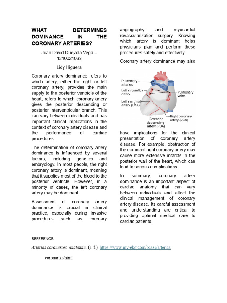 Understanding Coronary Artery Dominance | PDF | Coronary Circulation ...