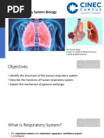 Structure and Function of The Gas Exchange System - Respiration and Gas ...