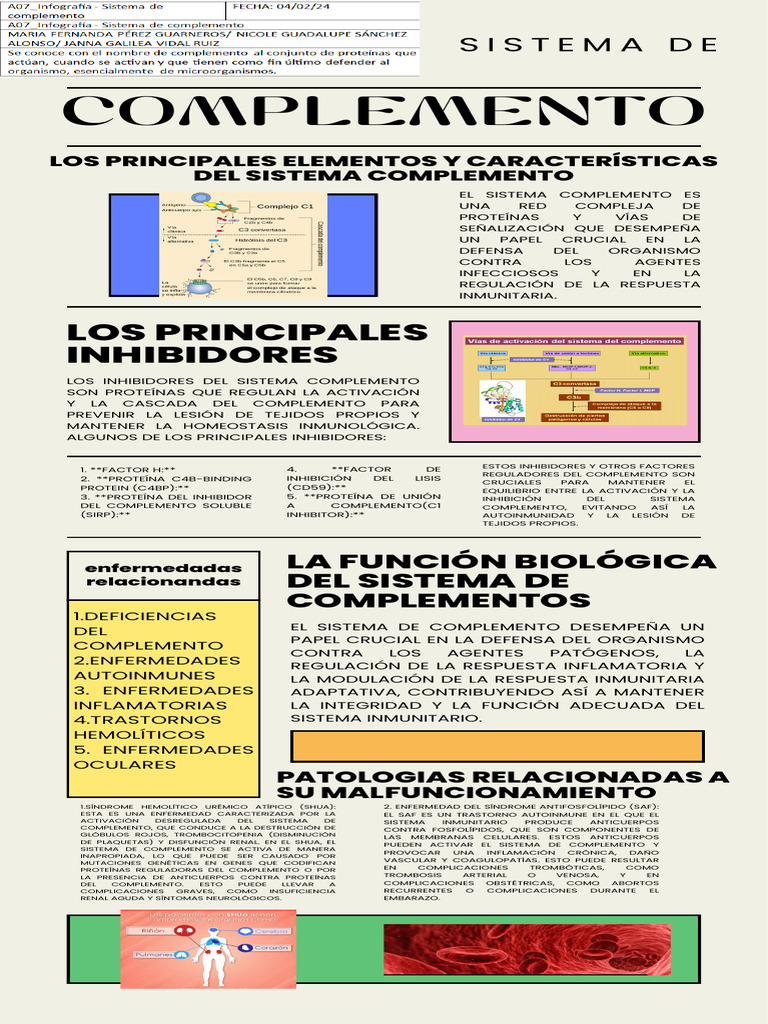 A07 - Infografía - Sistema de Complemento 2 | PDF | Sistema inmune | Sistema complementario