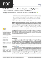 Antibiotics and Microbial Cultures Practical | PDF | Bacteria ...