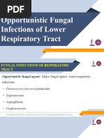 Natural Ink From Alugbati | PDF | Ink | Wellness