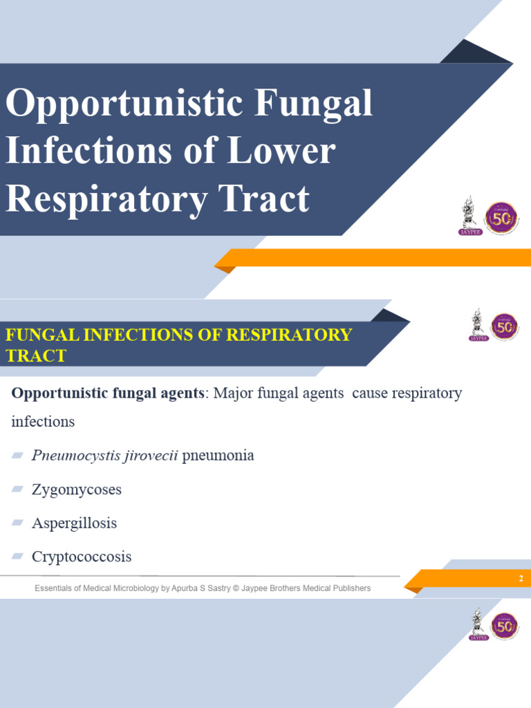 Opportunistic Fungal Infections of Respiratory Tract | Download Free ...