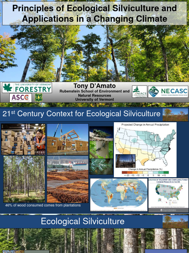 D'Amato USFWS NCTC Ecological Forestry September 19, 2023 | PDF ...