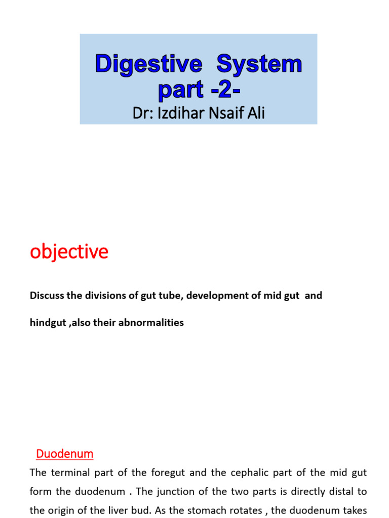 Digestive System (Part 2) | PDF | Liver | Pancreas