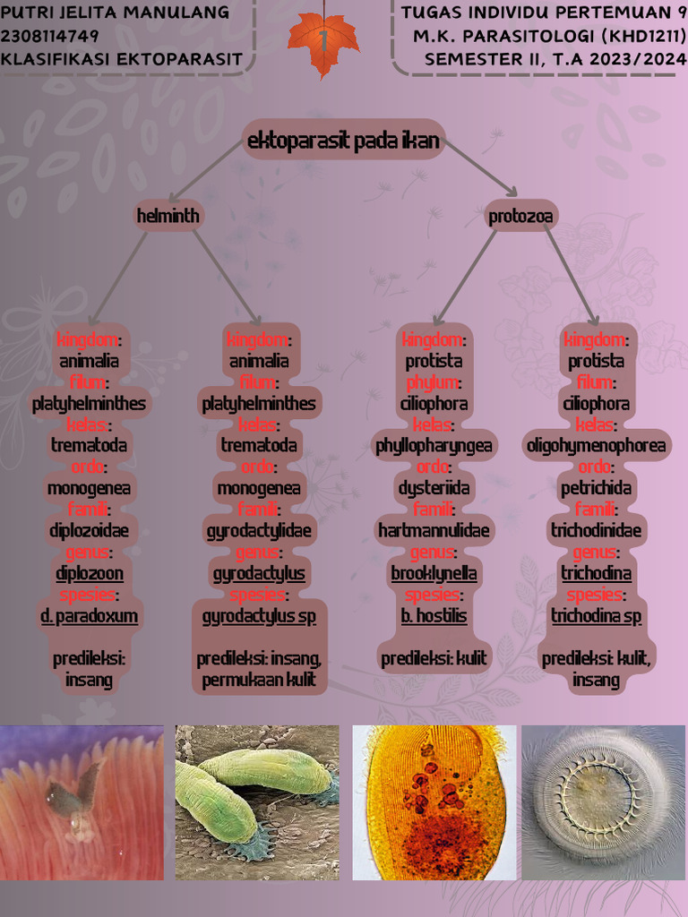 Putri Jelita Manulang 2308114749 Klasifikasi Ektoparasit Parasitologi | PDF