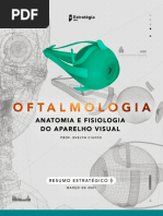 Aula 11 - Fisiologia Da Visão | PDF | Sistema visual | Olho