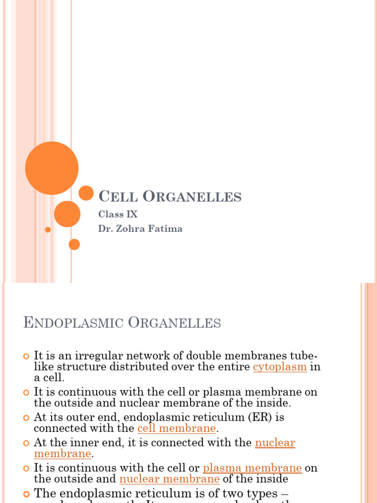 Cell Organelles | PDF | Endoplasmic Reticulum | Cell (Biology)