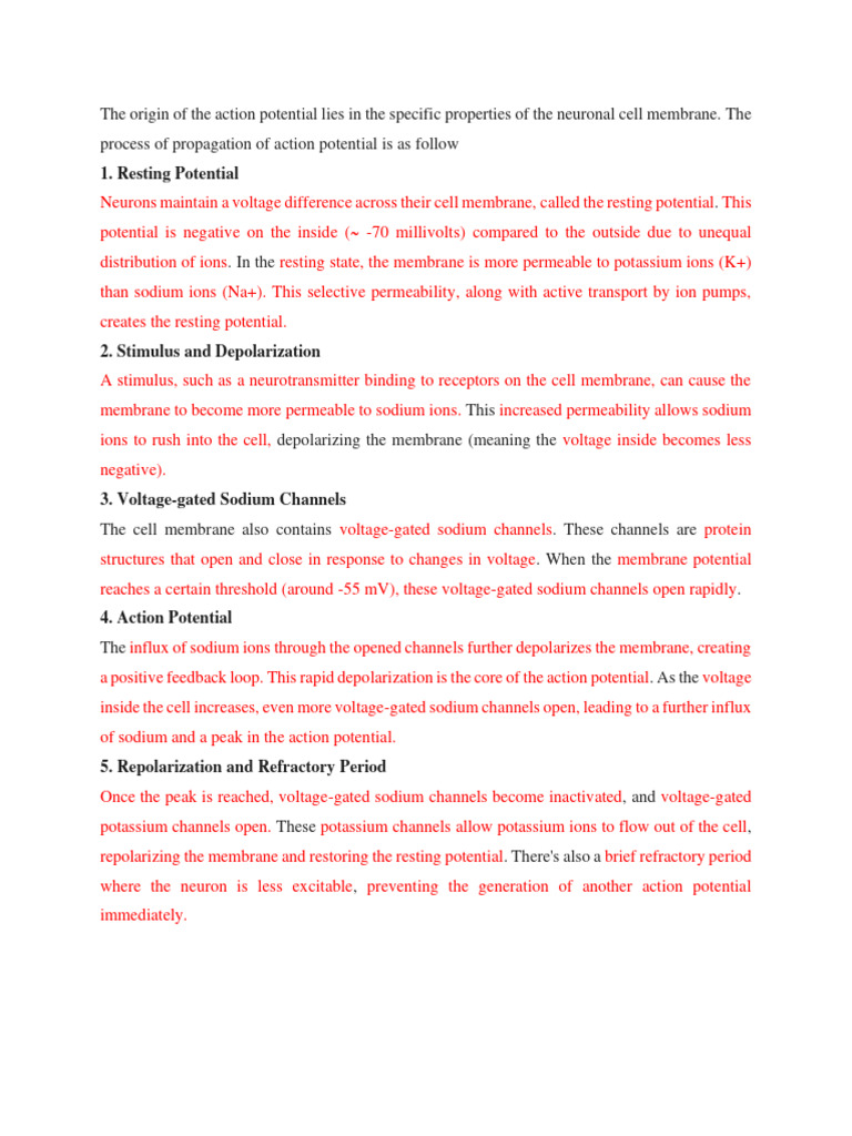 Action Potential Propagation in Nerve Fibers | PDF | Action Potential ...