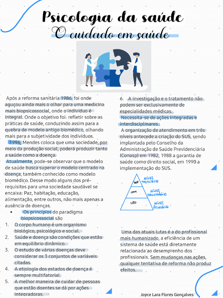 Resumo Texto 03 Saúde - 240410 - 173337 | PDF