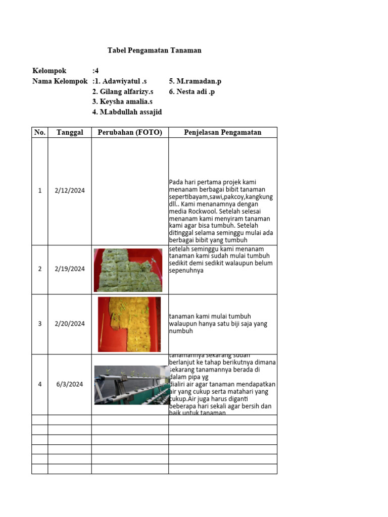 Tabel Pengamatan Projek (1) Kel 4 | PDF