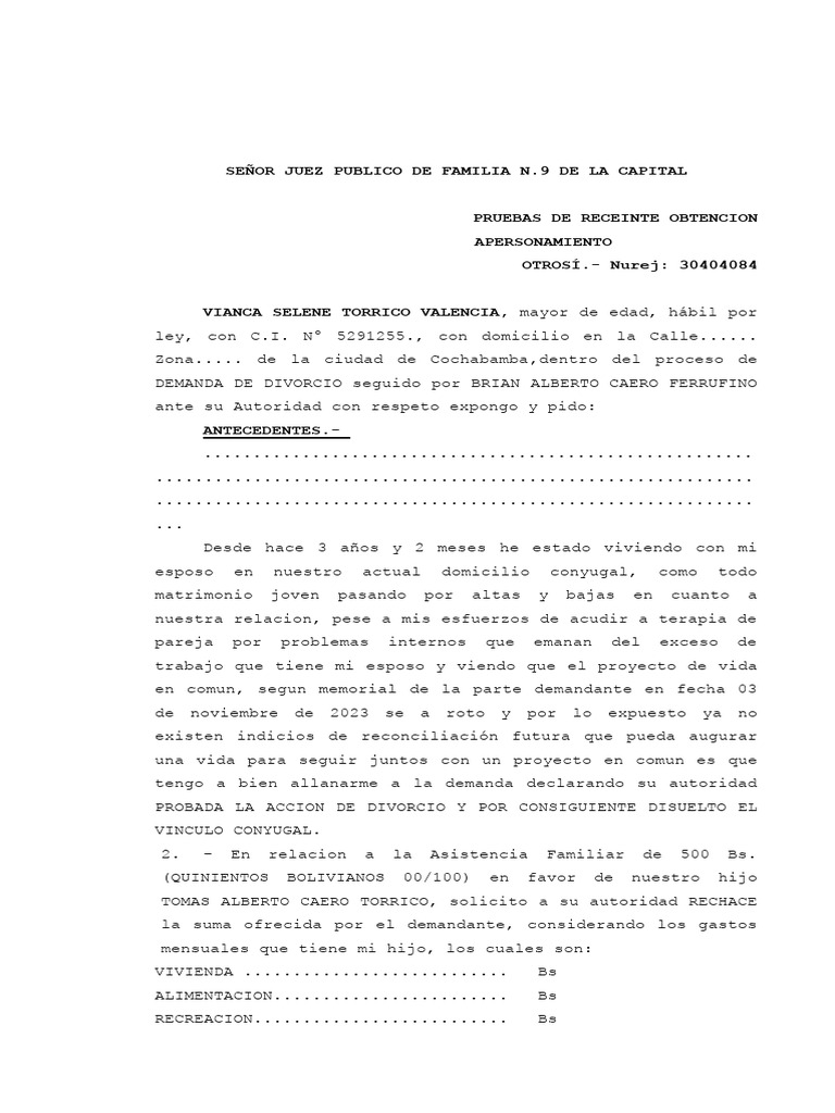 Vianca Vtorrico Descargar Gratis Pdf Divorcio Demanda Judicial