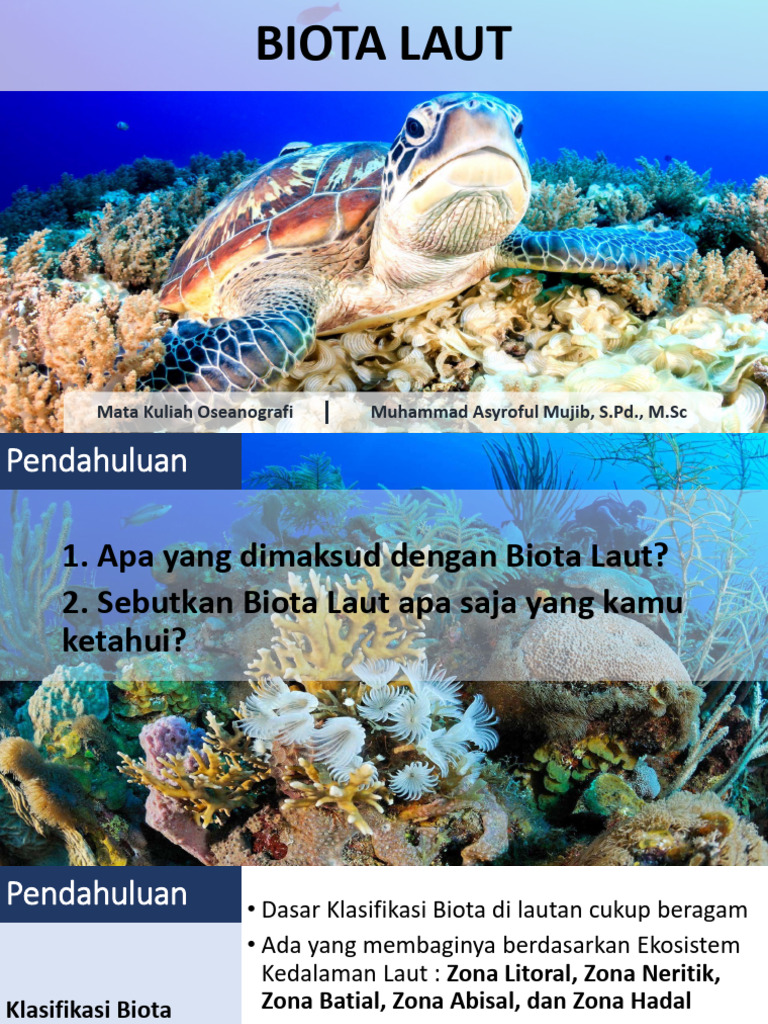 Klasifikasi dan Adaptasi Biota Laut | PDF