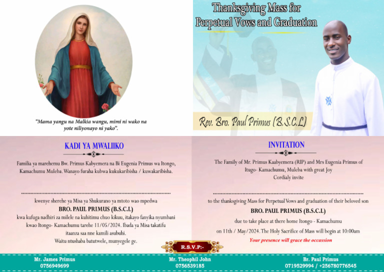 CARD BRO PRIMUS Final | PDF