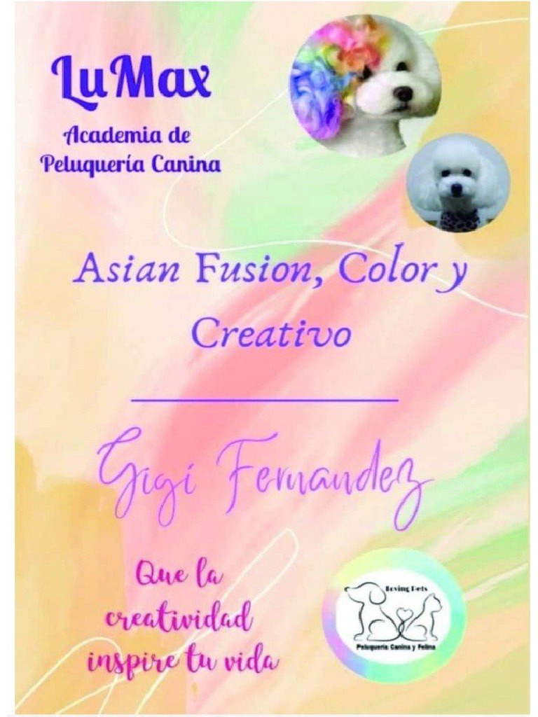 Taller de Hemati, Color y Creativo | PDF