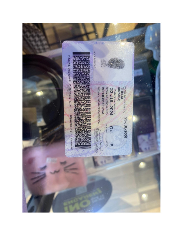 Documento sin título | PDF