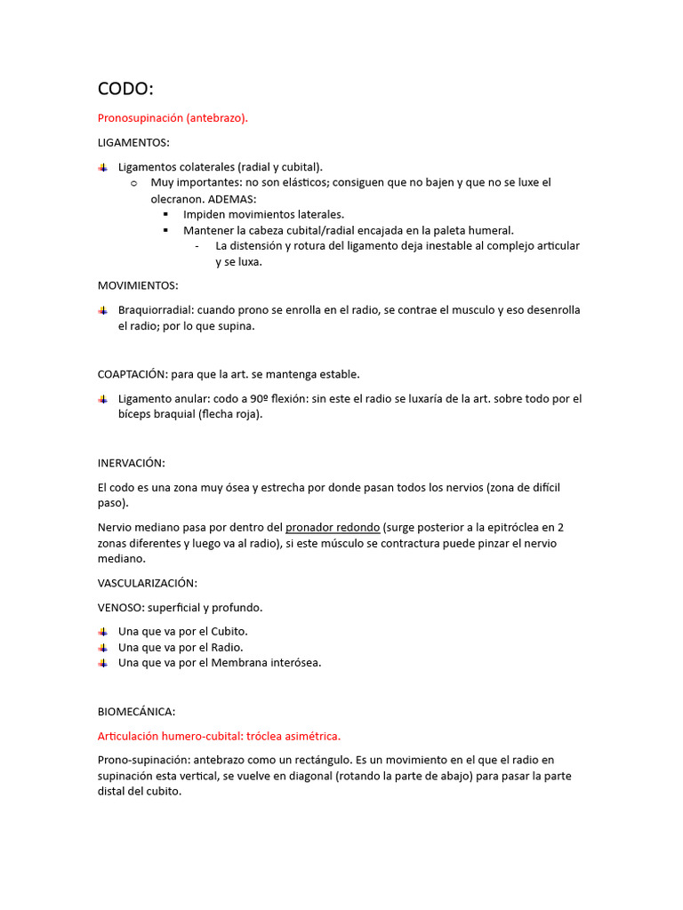 Apuntes Codo Pdf Codo Sistema Musculoesquelético
