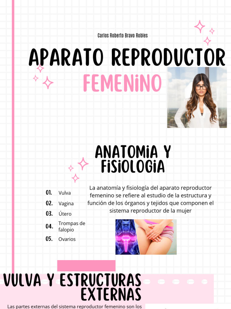 Aparato REPRODUCTOR Femenino | PDF | Ciclo menstrual | Sistema reproductivo
