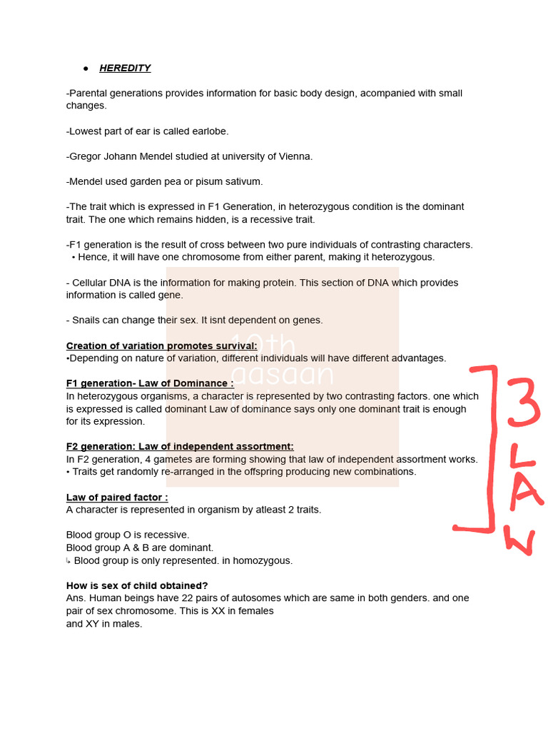 Heredity Pdf Dominance Genetics Gene