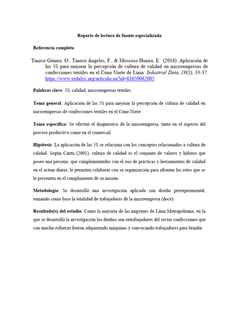 Ejemplo de Reporte | PDF | Pequeñas y medianas empresas | Lima