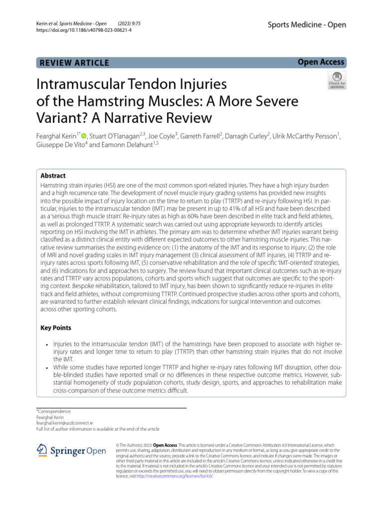 Intramuscular Tendon Injuries of The Hamstring Muscles: A More Severe ...